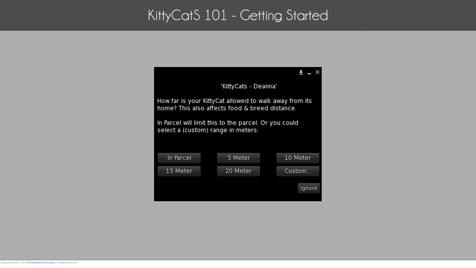 Getting Started With KittyCatS